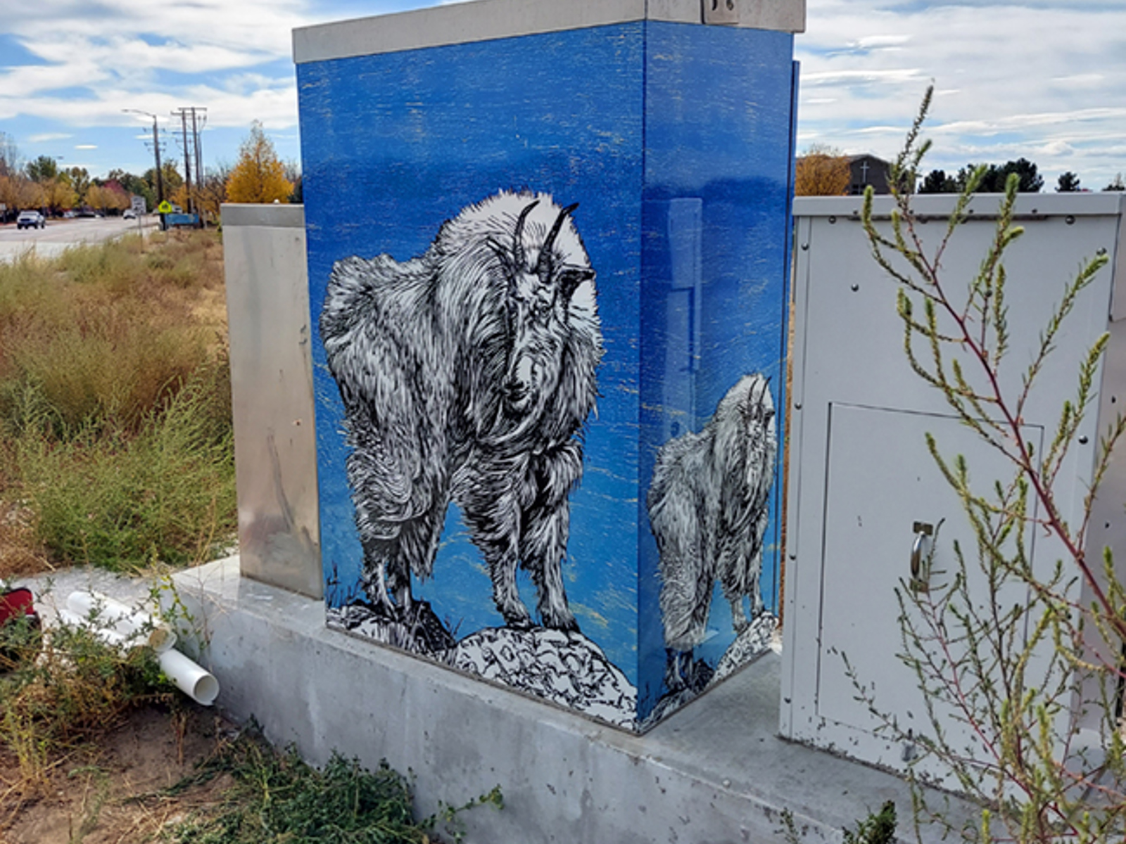 Traffic Box Art | City of Meridian